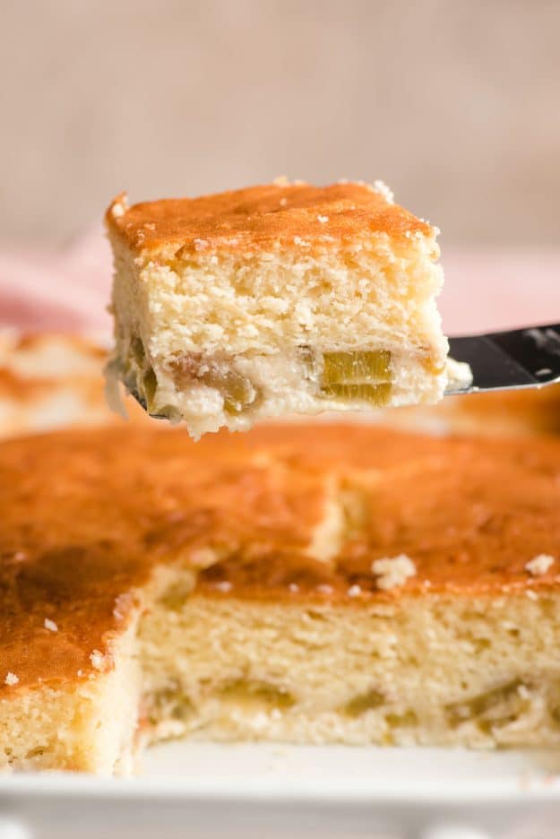 Rhubarb Custard Cake | NeighborFood